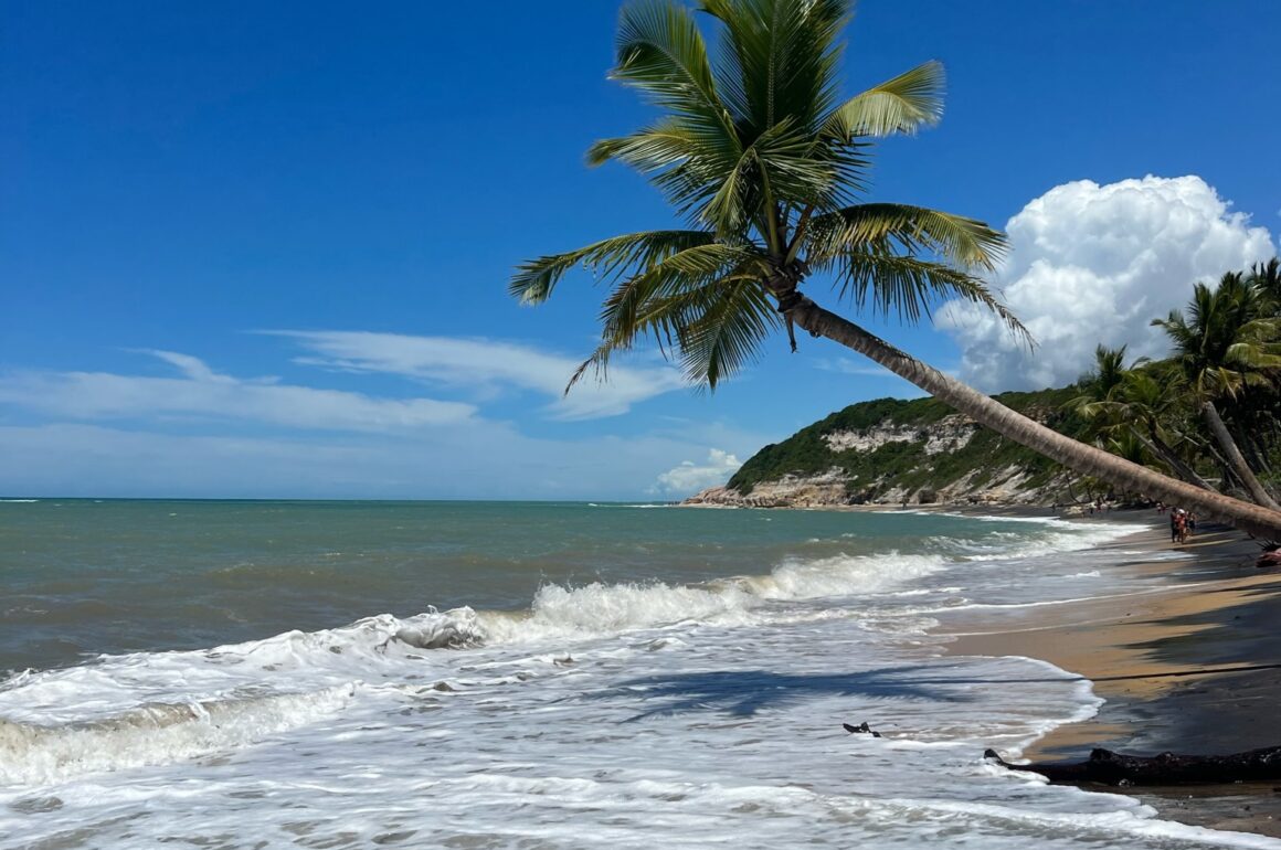 7 praias na Bahia para você conhecer | You Must Go!